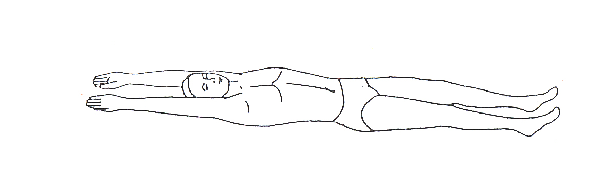 Yastikasana (El Palo) :: Sandalo-yoga